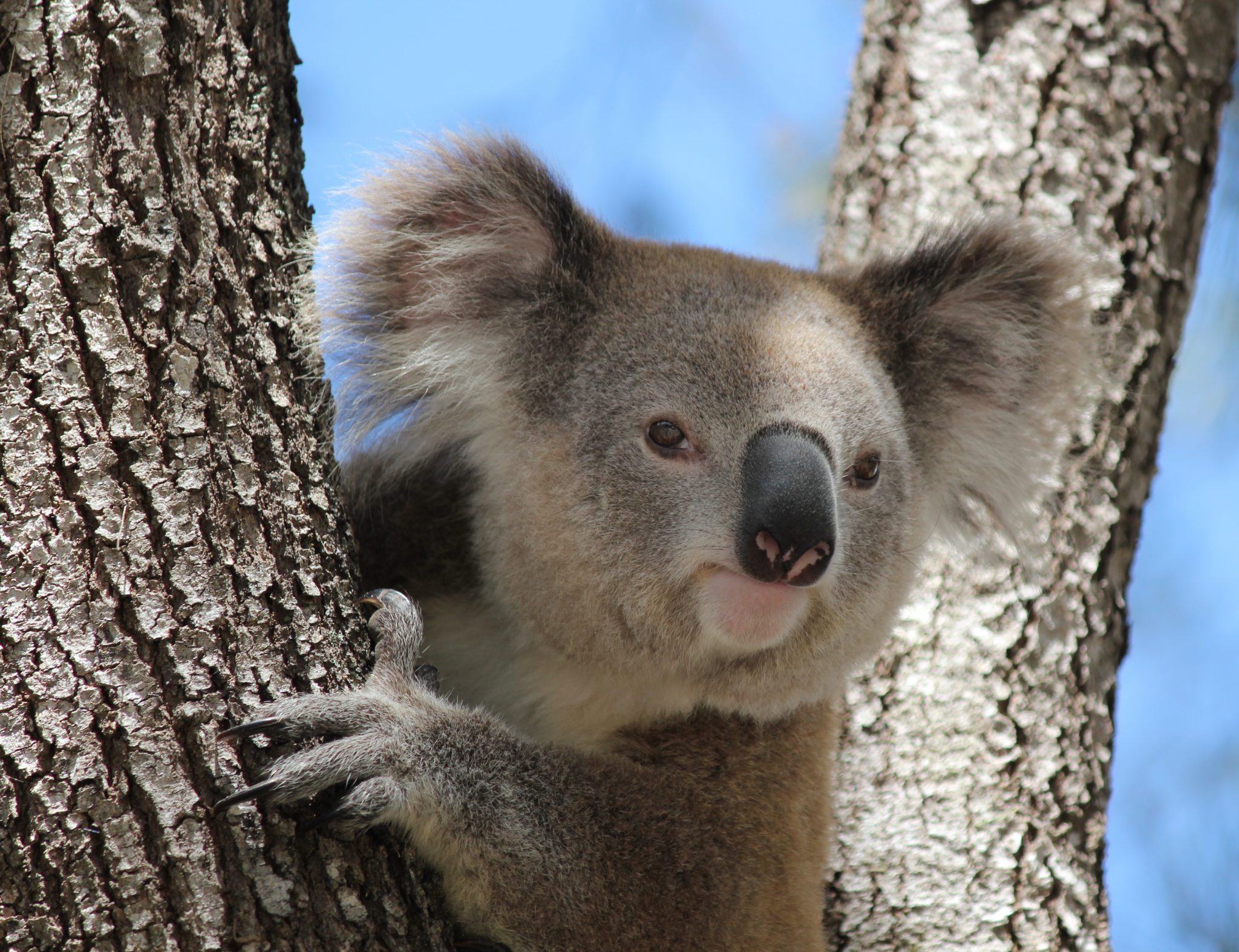 Visit Campbelltown – Explore the beauty of a city undiscovered
