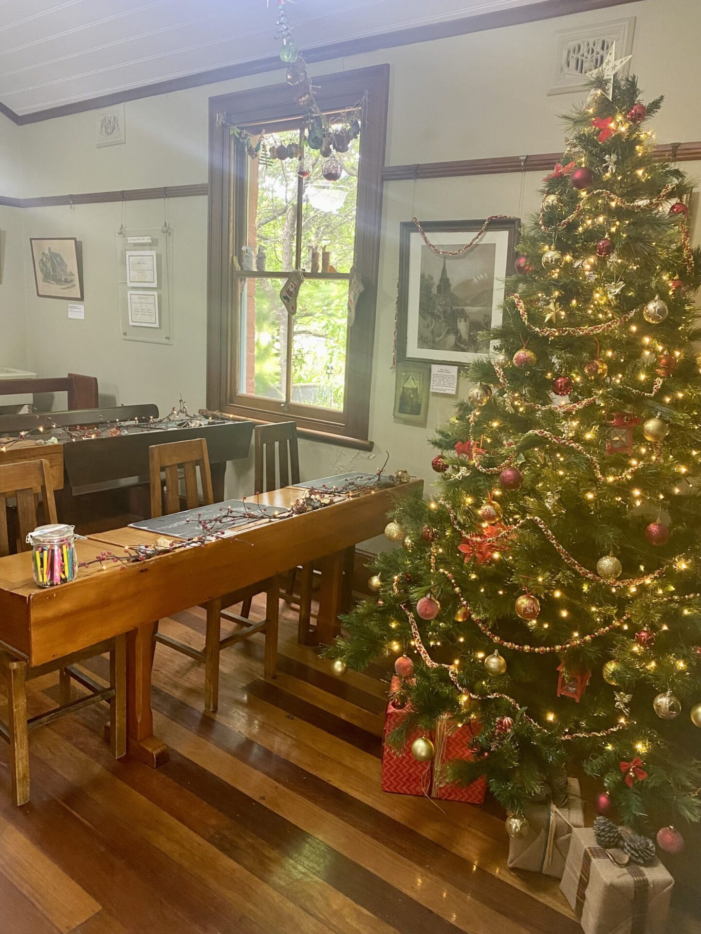 Happy 183rd Birthday Quondong! — Campbelltown